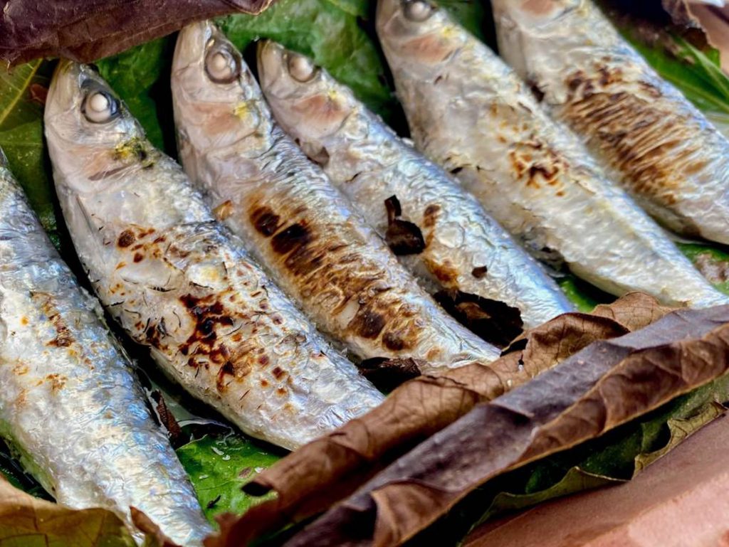 Sardinas las reinas del verano - Gastroactitud. Pasión por la comida