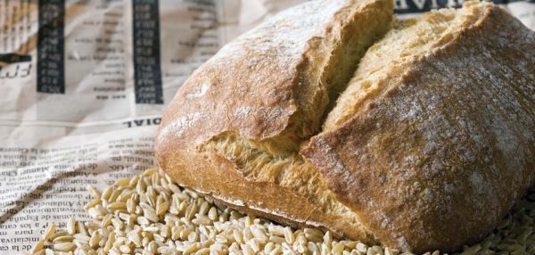 A cada tapa, su pan - Gastroactitud. Pasión por la comida