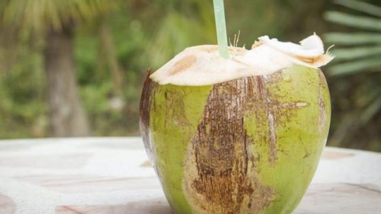 La razón por la que debes tomar agua de coco, algo que seguramente ...