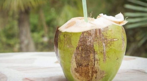 5 razones para probar el agua de coco, una bebida naturalmente ...