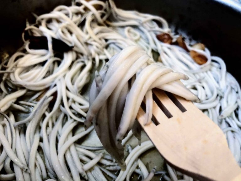 Angulas: gusanitos a precio de oro - Gastroactitud. Pasión por la comida