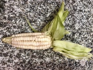 Diccionario de productos peruanos - Gastroactitud. Pasión por la comida