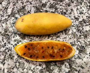 Diccionario de productos peruanos - Gastroactitud. Pasión por la comida