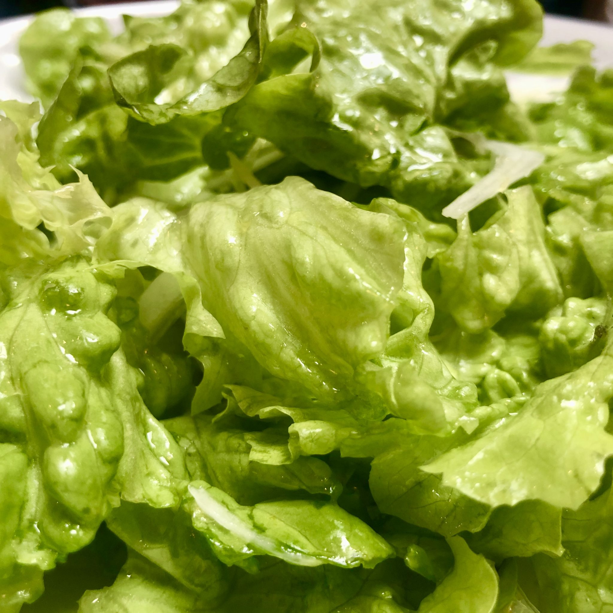 Crítica del restaurante Narru San Sebastián - Gastroactitud