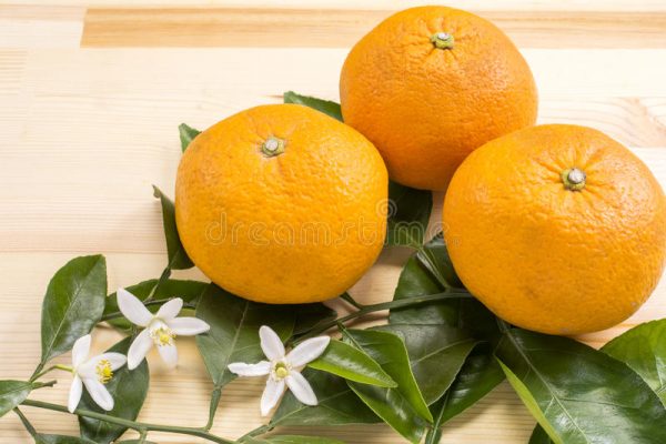Cítricos: variedades y beneficios - Gastroactitud. Pasión por la comida