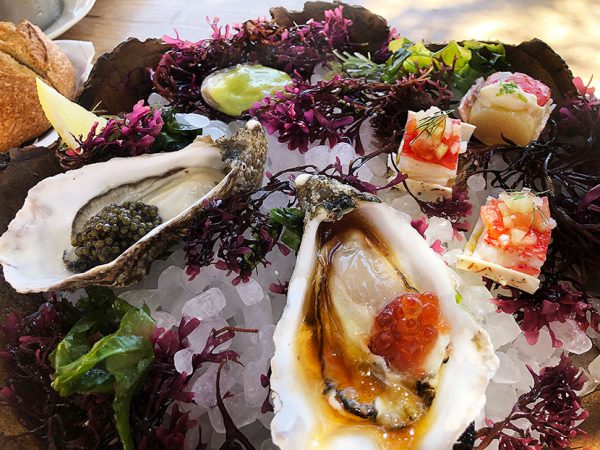 Crítica del restaurante Casa Jondal (Ibiza) - Gastroactitud