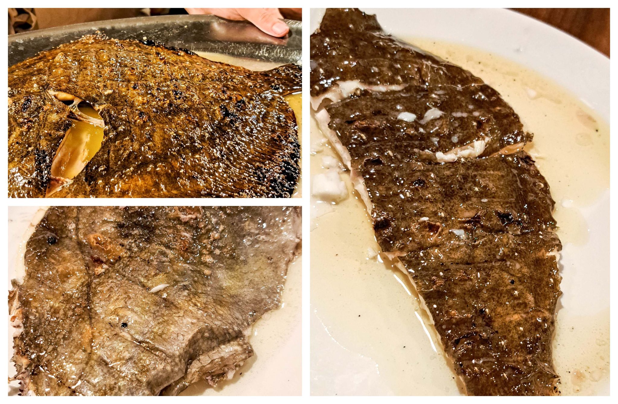 Crítica del restaurante Basea (Valencia) - Gastroactitud