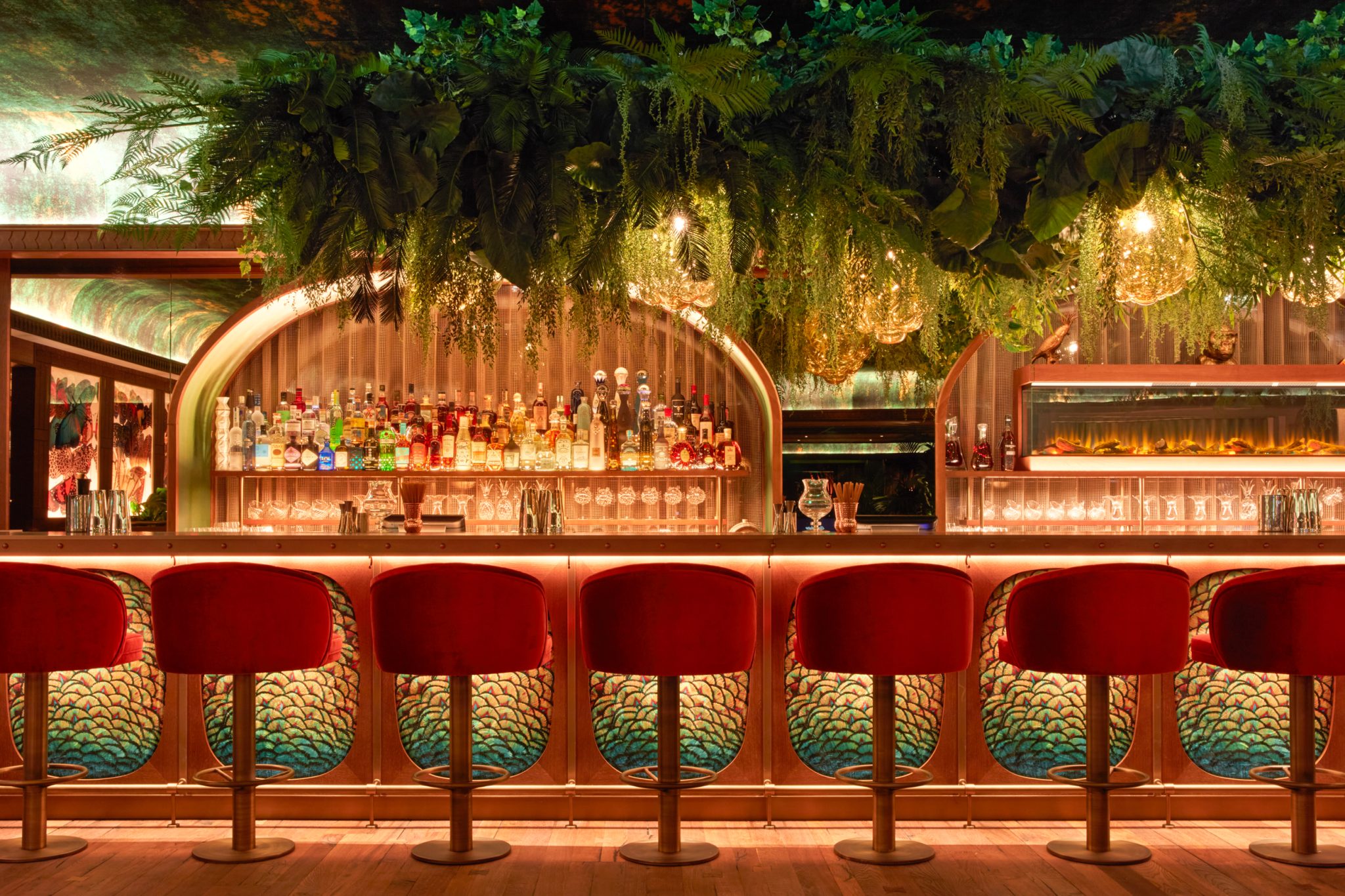 Amazónico inaugura en Montecarlo