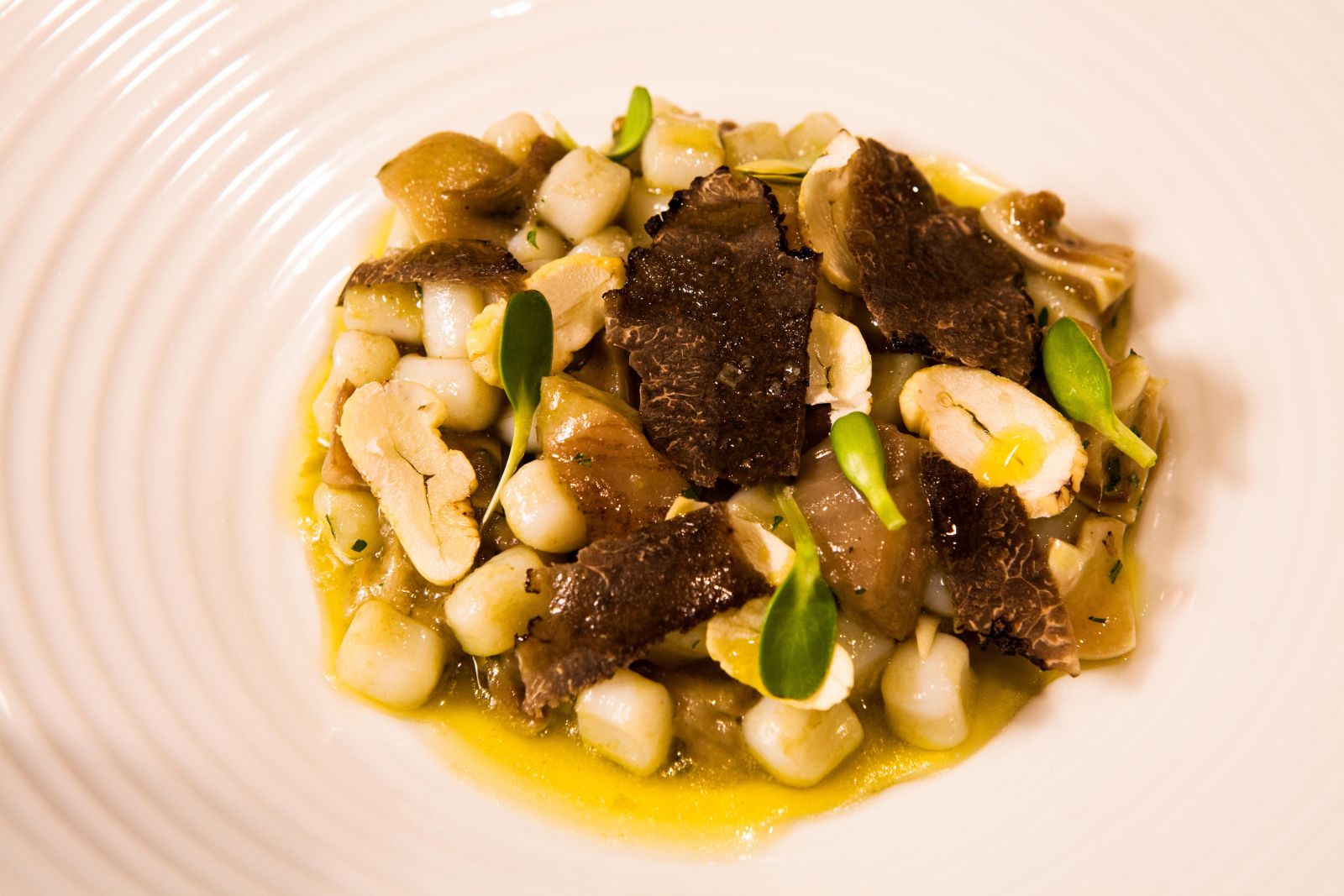 Trufa negra: guía práctica - Gastroactitud. Pasión por la comida